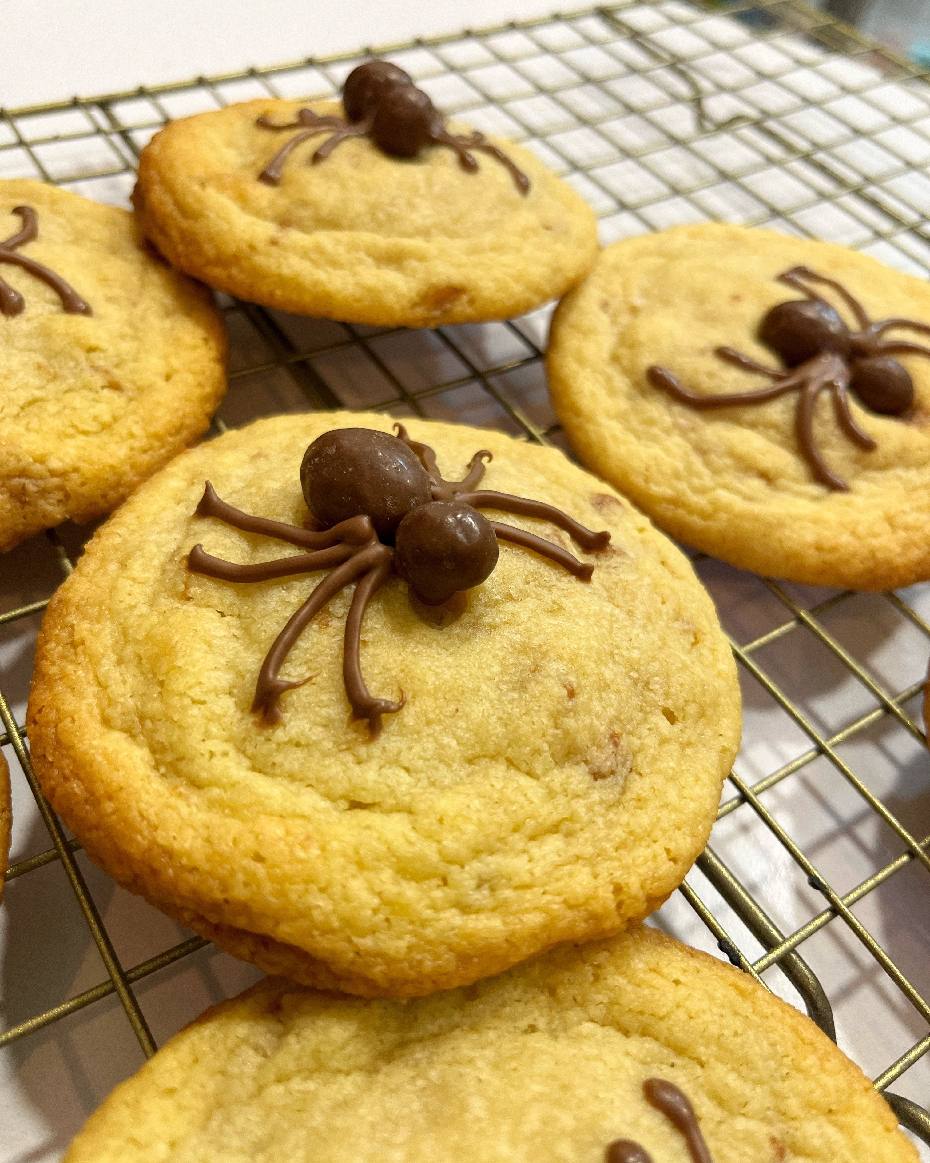 GALLETA ARAÑA – MORA SUGAR STUDIO